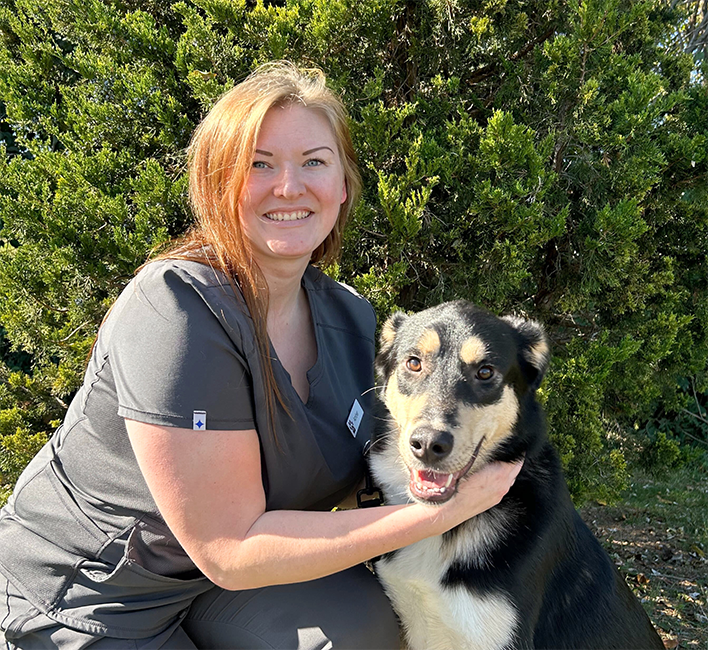 Amber | Mason Dixon Animal Emergency Hospital