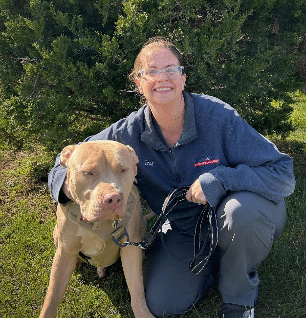 Jess | Mason Dixon Animal Emergency Hospital